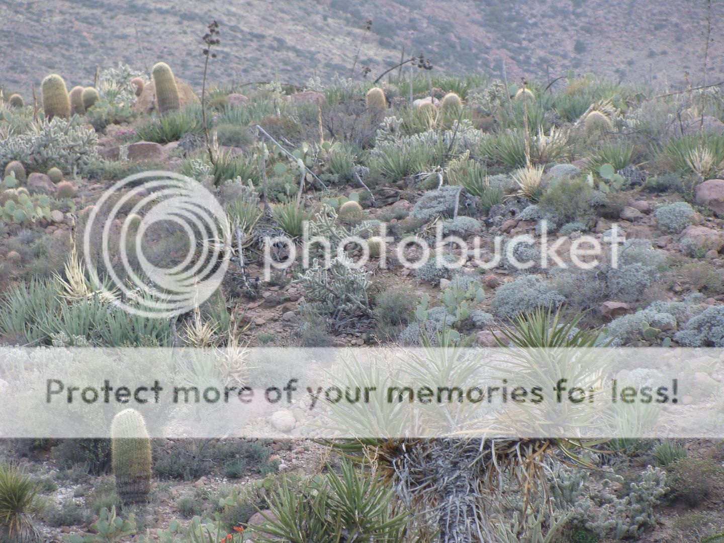 BAJA and the U.S. built WWII 'POLE LINE ROAD', 4WD RUN | Page 2 ...