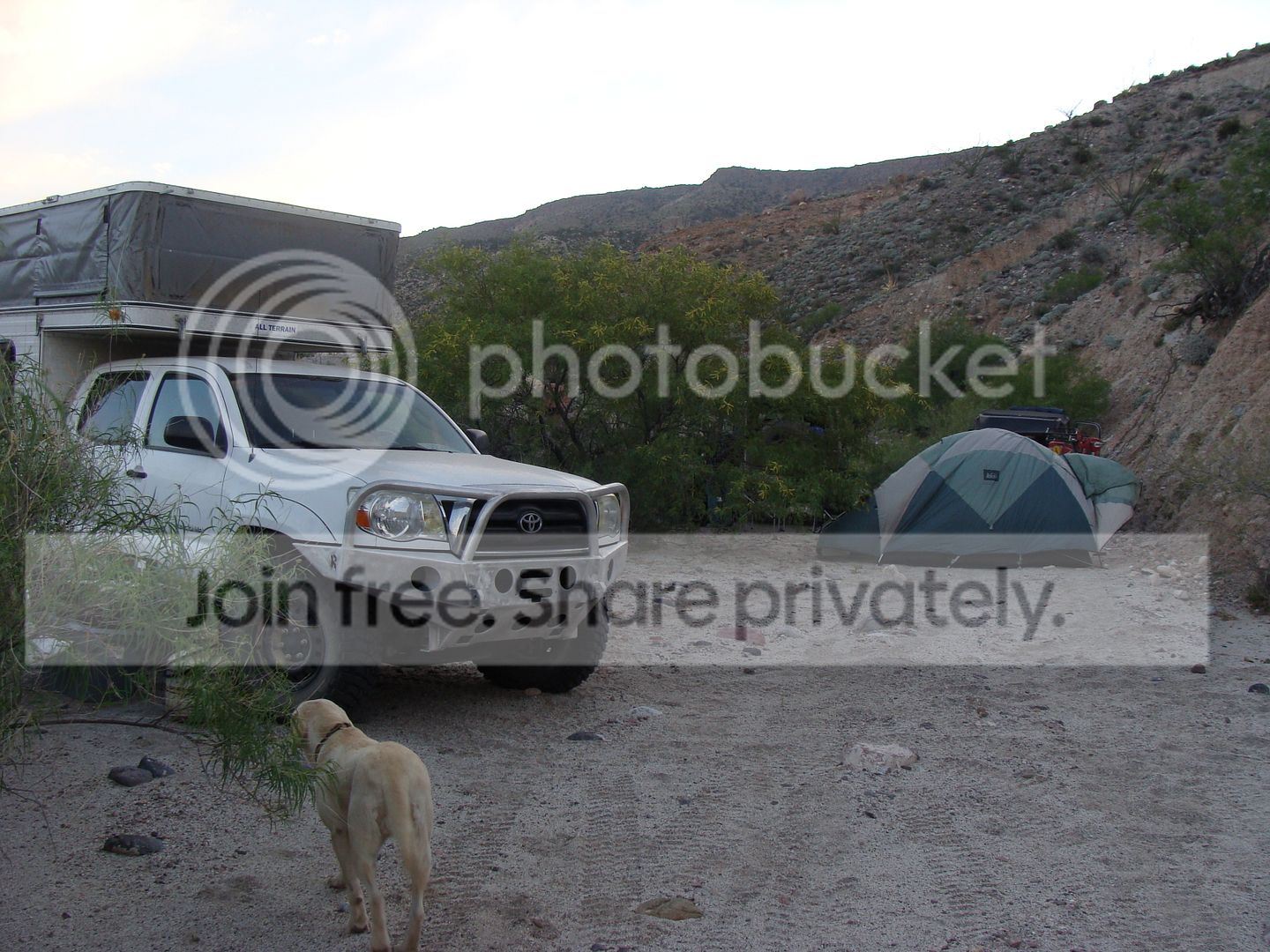 BAJA and the U.S. built WWII 'POLE LINE ROAD', 4WD RUN | Page 2 ...