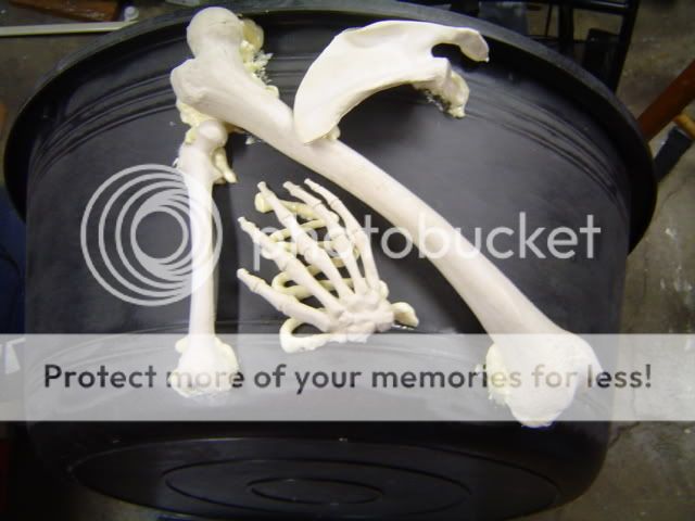 Great Stuff tips... | Haunt Forum