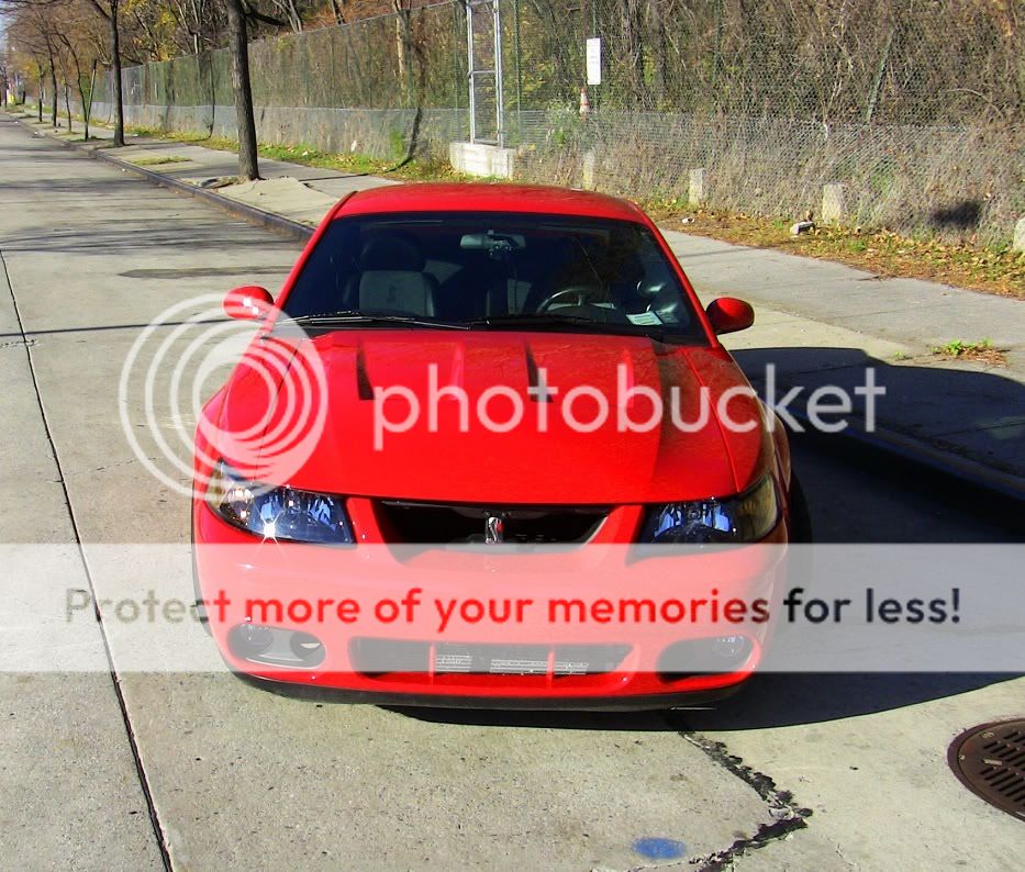 F/S 2003 Torch Red Terminator Cobra 29k | Mustang and Ford Performance ...