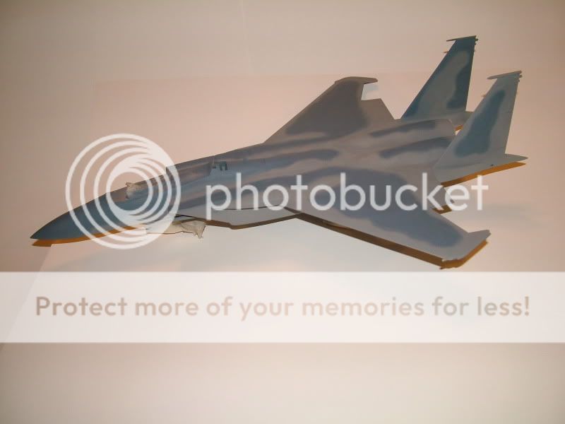 1/32 Tamiya C & E F-15 combined to make F-15B - Works in Progress ...