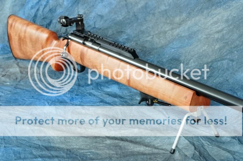 Finally refinished the H&R M-12 | Rimfire Central Firearm Forum