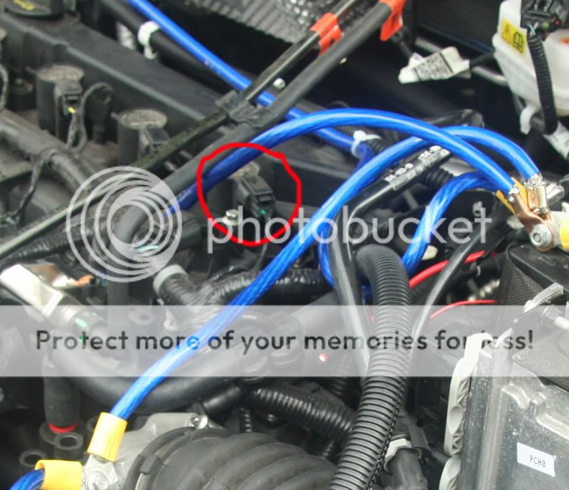 Help Hooking Up MSD Window Switch | Focus Fanatics Forum