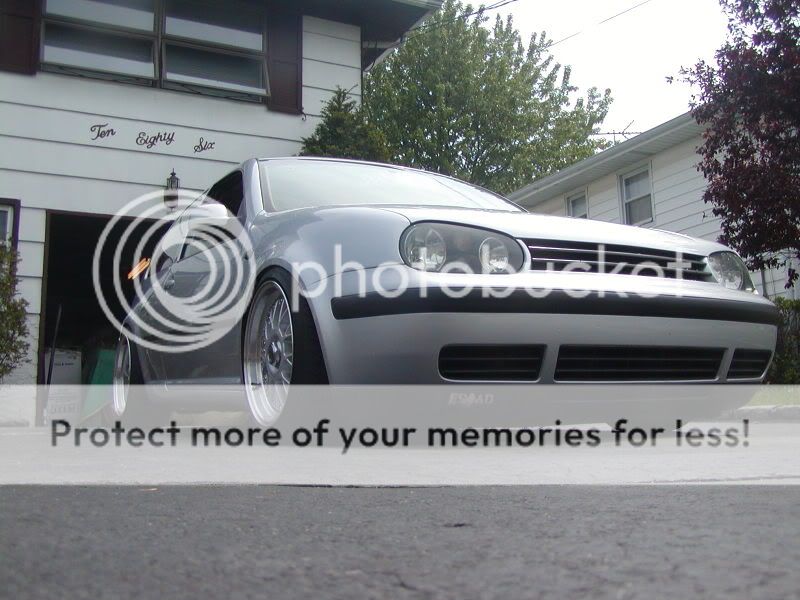 MEXI POKE WINNAR!!!!!!! | VW Vortex - Volkswagen Forum